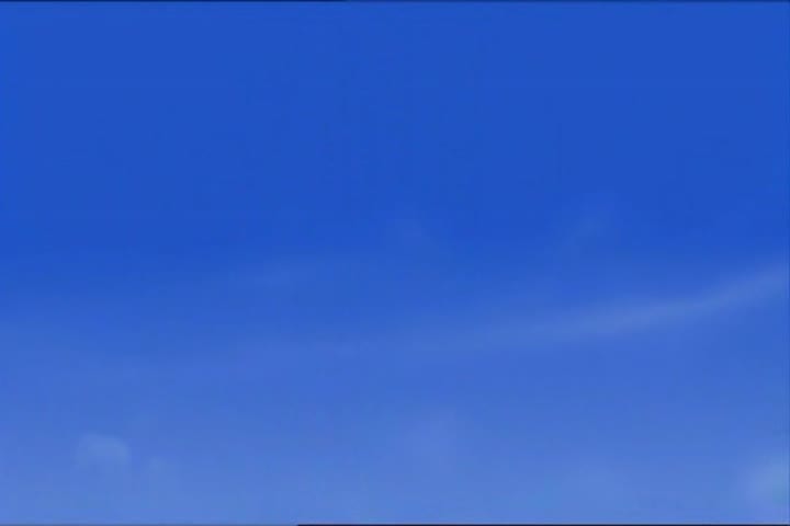 Scratch Lost Adventure animation Pixar | Youmadeo